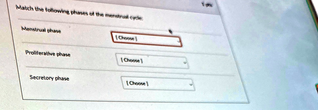 Match the following phases of the menstrual cycle Menstrual phase ...