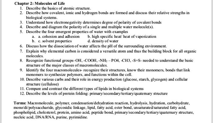 Chapter 2: Molecules of Life 1. Describe the basics of atomic structure ...