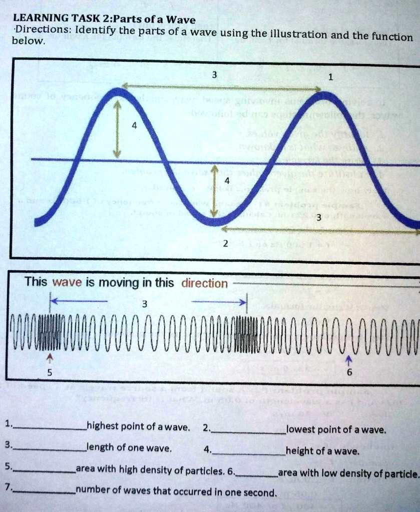 SOLVED: 'learning task 2:parts of a wave direction: identify the parts of a wave using the ...