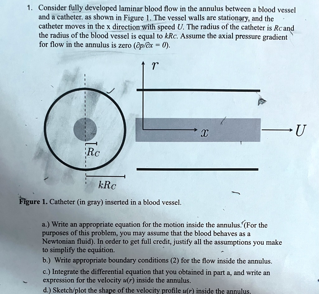 1. Consider fully developed laminar blood flow in the annulus between a ...