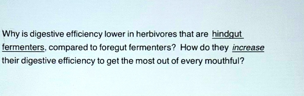 why is digestive efficiency lower in herbivores that are hindgut ...
