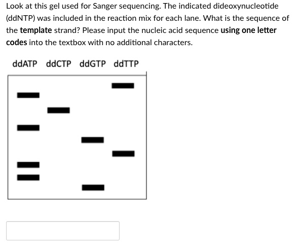 look at this gel used for sanger sequencing the indicated ...