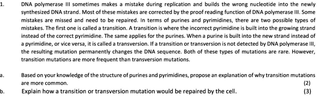 SOLVED: DNA polymerase IIl sometimes makes a mistake during replication ...
