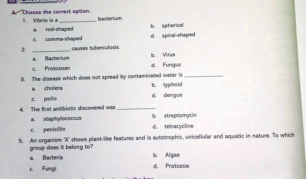 SOLVED: 'A. Choose the correct option.'