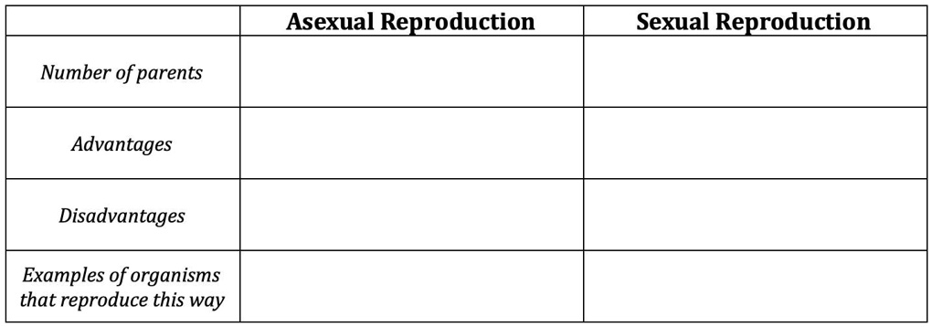 Asexual Reproduction Sexual Reproduction Number of parents Advantages ...