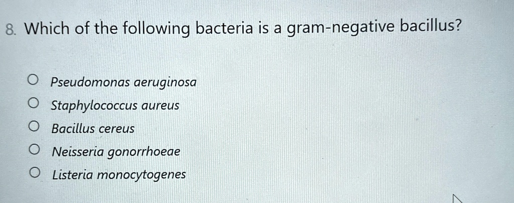 8. Which of the following bacteria is a gram-negative bacillus ...
