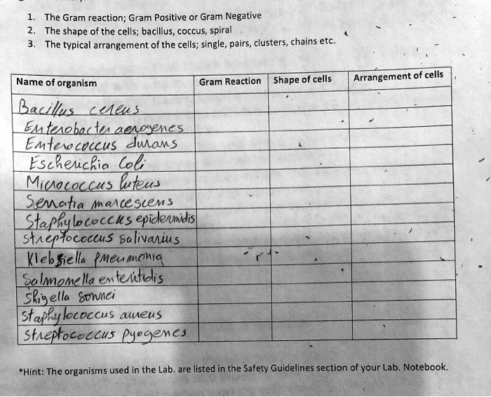 SOLVED: The Gram reaction; Gram Positive or Gram Negative. The shape of ...