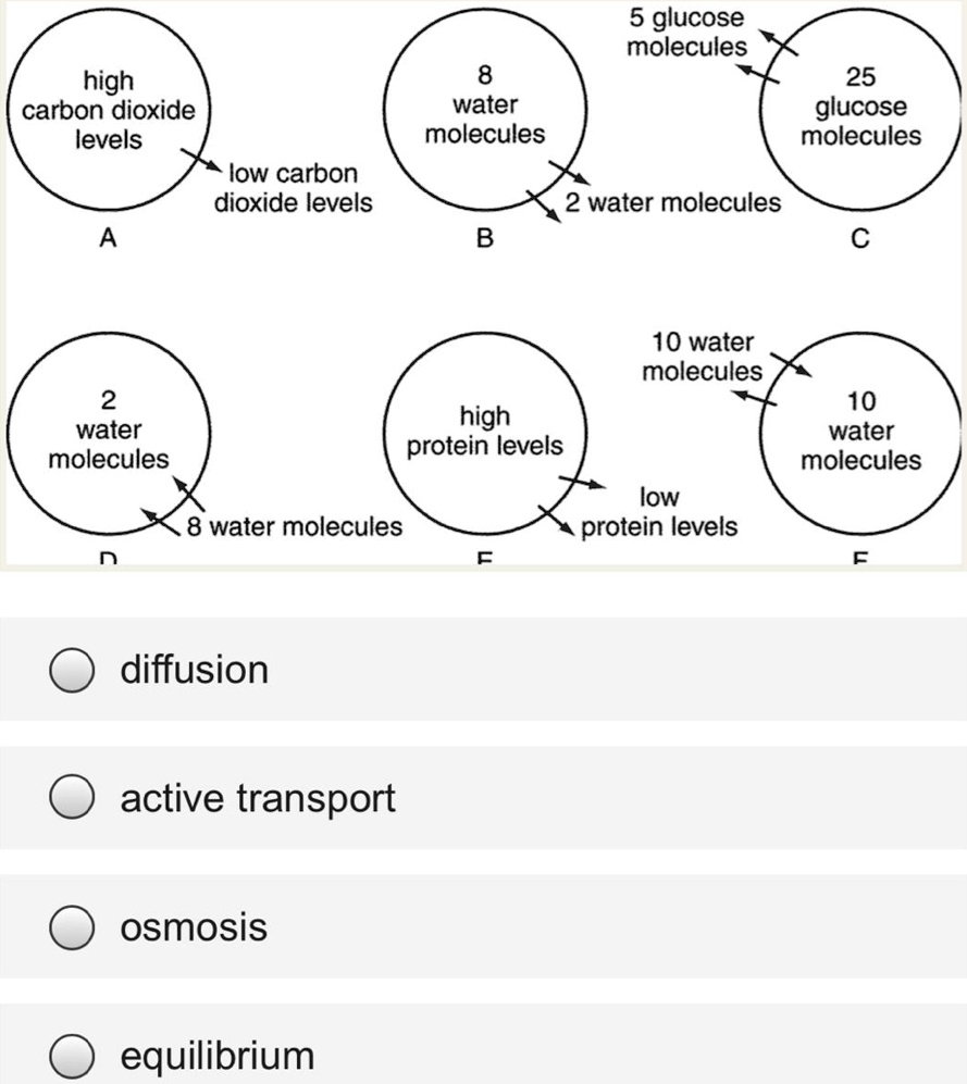 high carbon dioxide levels A low carbon dioxide levels 5 glucose ...
