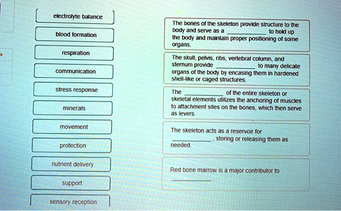 SOLVED: The bones of the skeleton provide structure to the body and ...