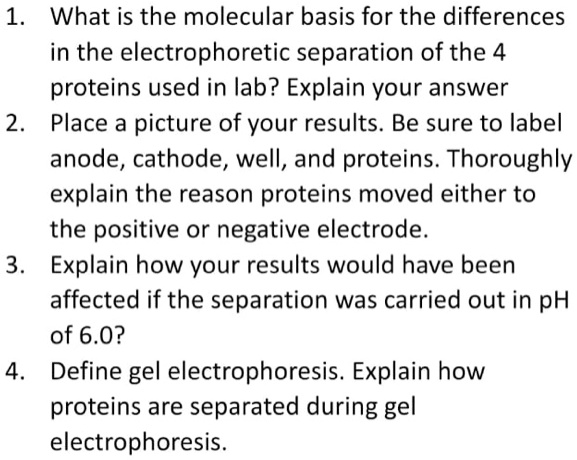 SOLVED: 1 What is the molecular basis for the differences in the ...