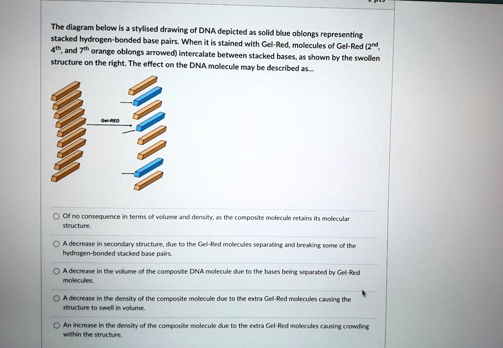 SOLVED: The diagram below is a stylized drawing of DNA depicted as ...