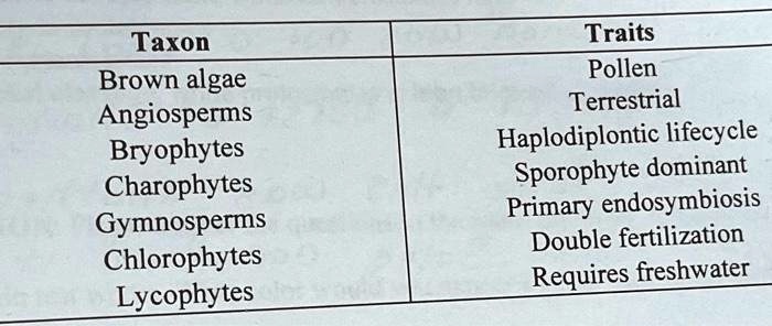 SOLVED: Draw a phylogeny that includes the following organisms and map ...
