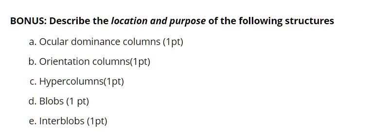 SOLVED: Bonus: Describe the location and purpose of the following ...