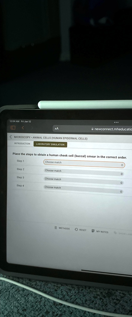 SOLVED: 12:04 AM Fri Jan 12 AA newconnect.mheducation MICROSCOPY - ANIMAL CELLS (HUMAN EPIDERMAL ...