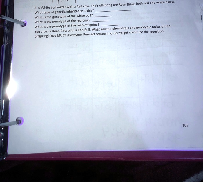 are roan have both red and white hairs white bull mates with a red cow ...