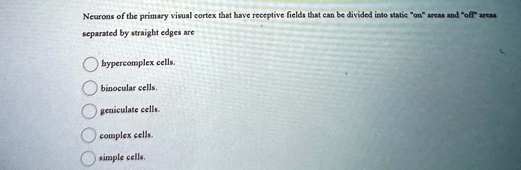 neurons of the primary visual cortex that have receptive fields that ...