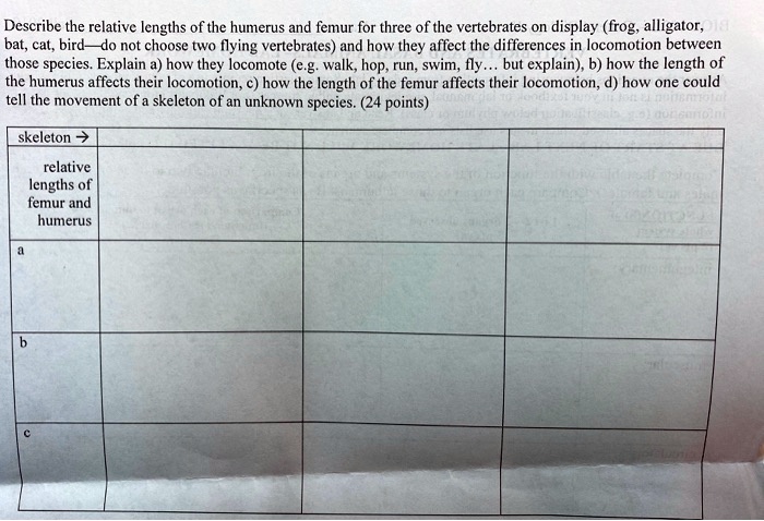 SOLVED: Describe the relative lengths of the humerus and femur for ...