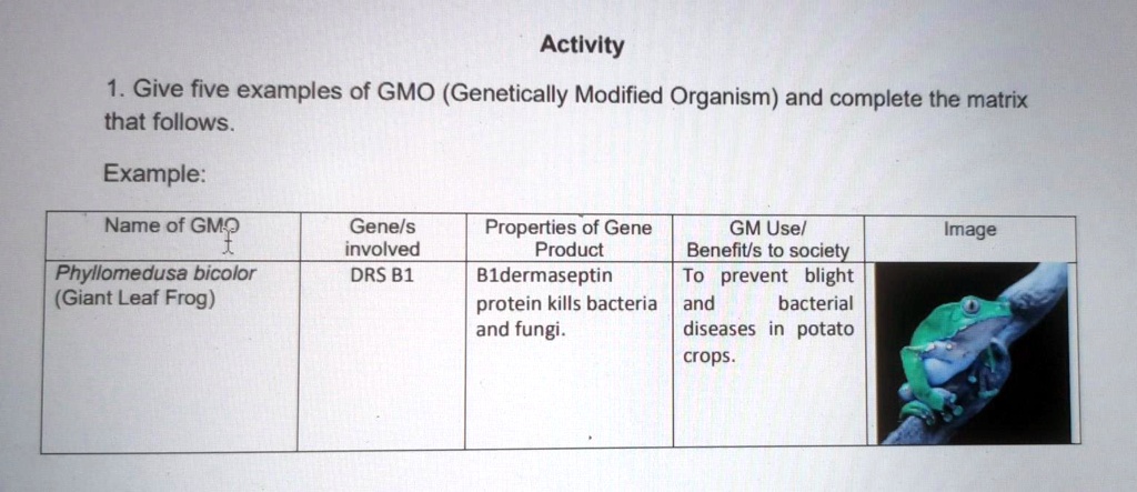 actlvlty 1 give five examples of gmo genetically modified organism and ...