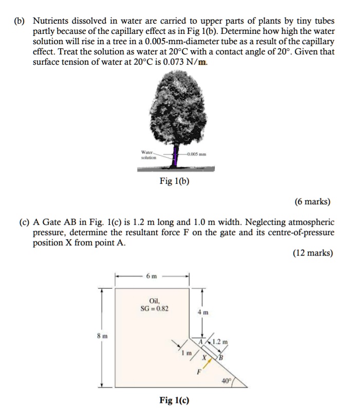 SOLVED: (b) Nutrients dissolved in water are carried to the upper parts ...