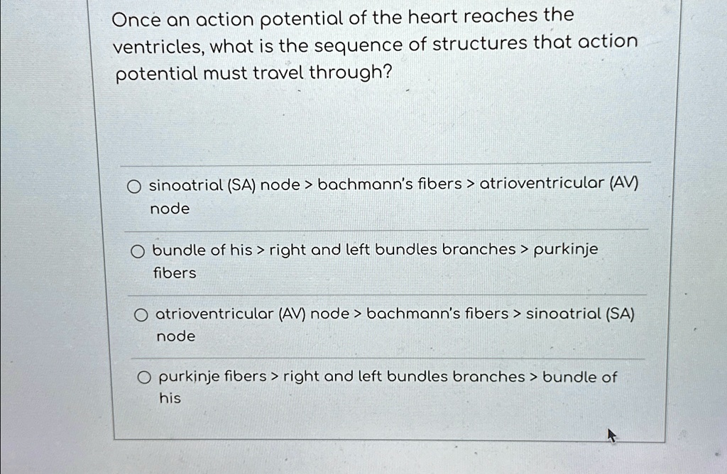 Once an action potential of the heart reaches the ventricles, what is ...