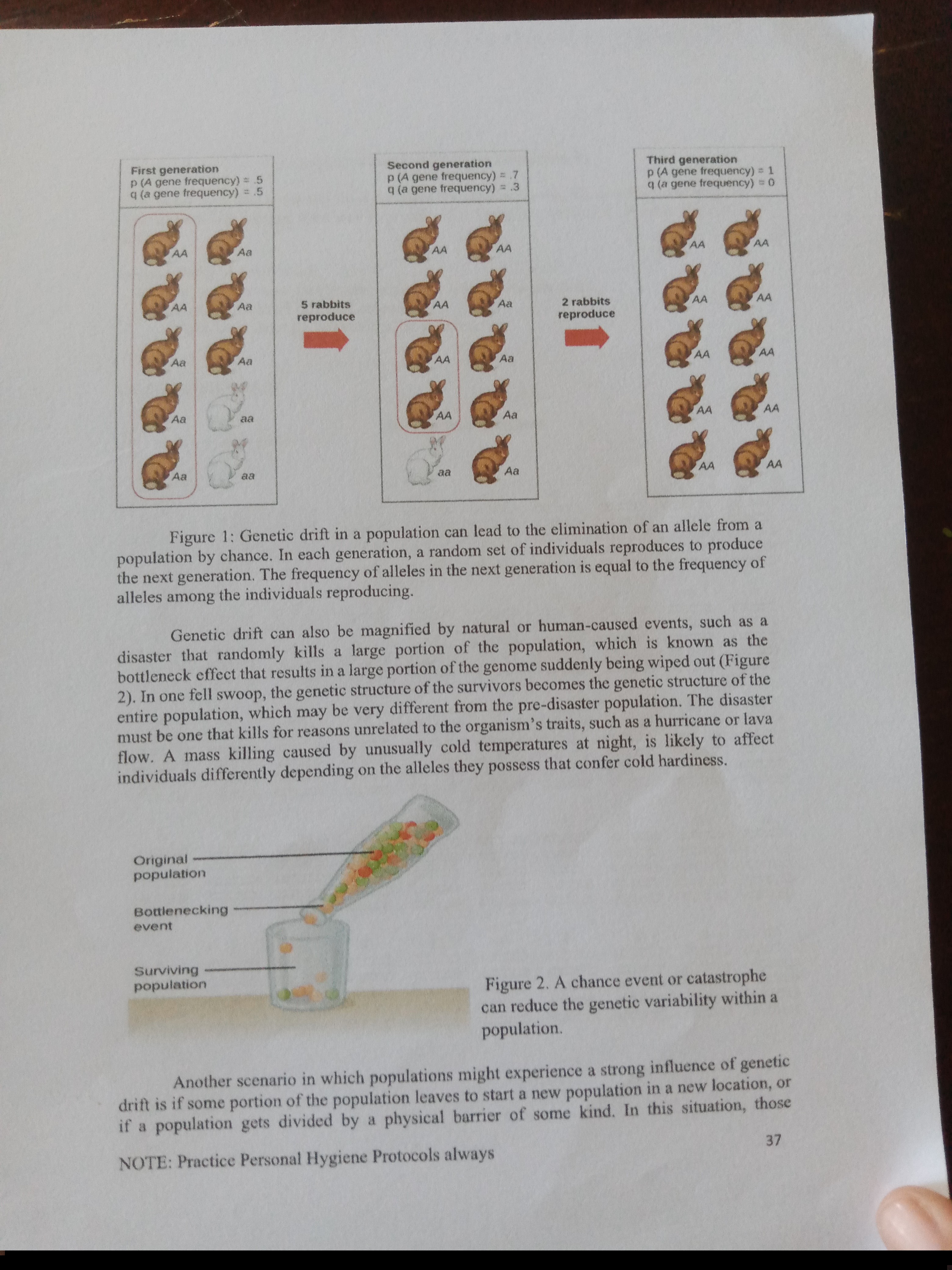 SOLVED: create a more detailed explanation about genetic drift and give ...