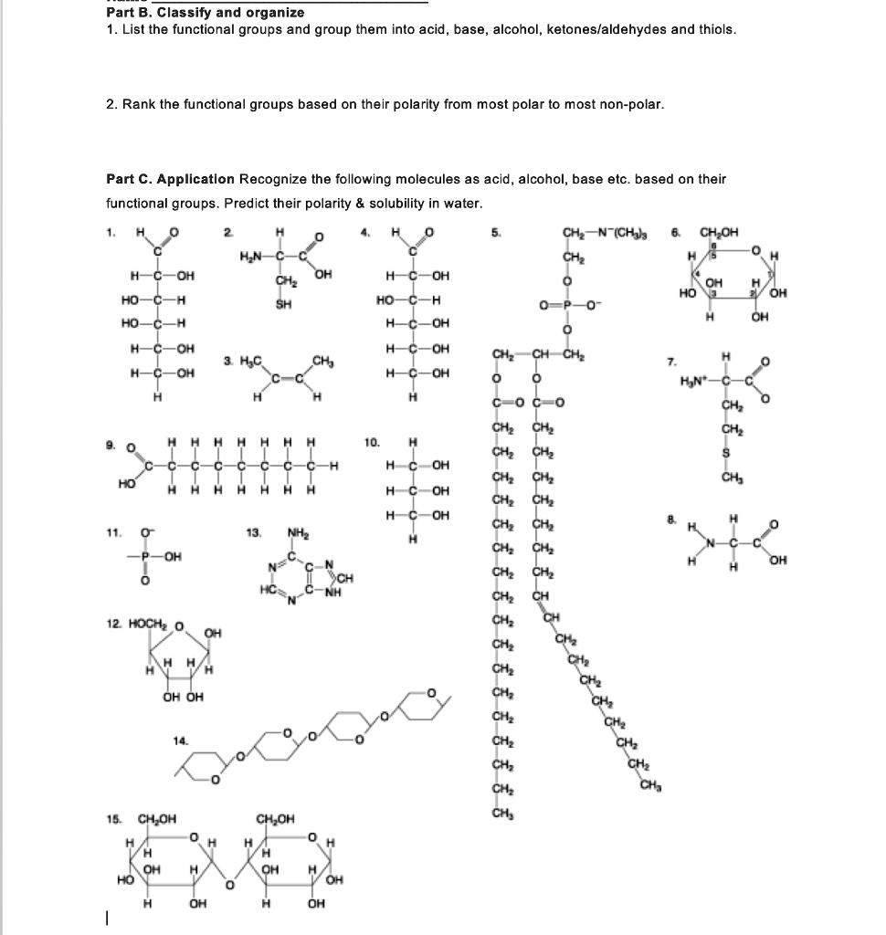 SOLVED: Part B Classify and organize List the functional groups and ...