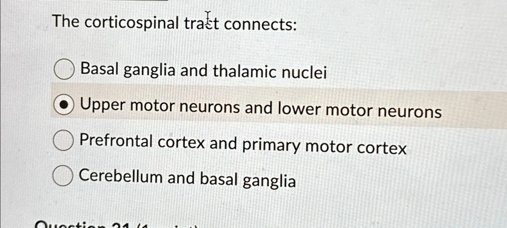 VIDEO solution: The corticospinal tract connects: Basal ganglia and ...