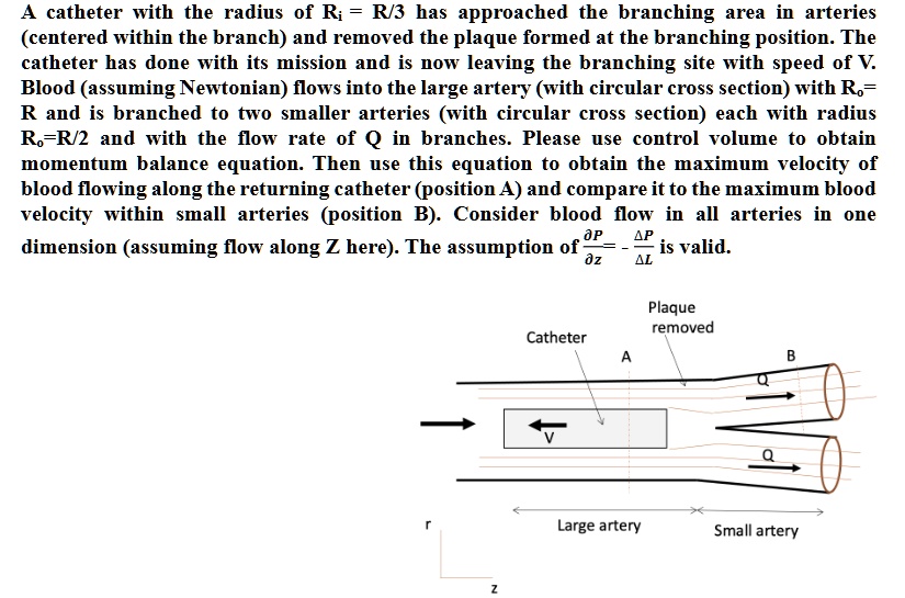 a catheter with the radius of ri r3 has approached the branching area ...