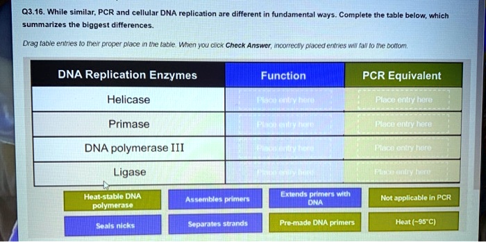 SOLVED: 03.16. While similar, PCR and cellular DNA replication are ...