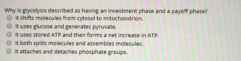 Why is glycolysis described as having an investment phase and a payoff ...