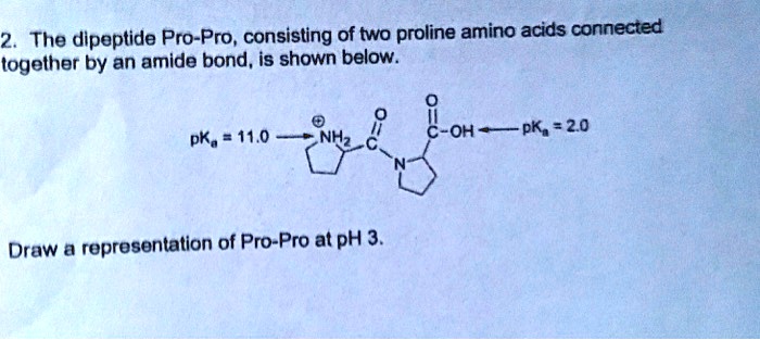 SOLVED: The dipeptide Pro-Pro, consisting of two proline amino acids ...