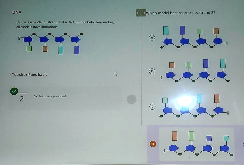 DNA Below is a model of strand 1 of a DNA double helix. Remember, all ...