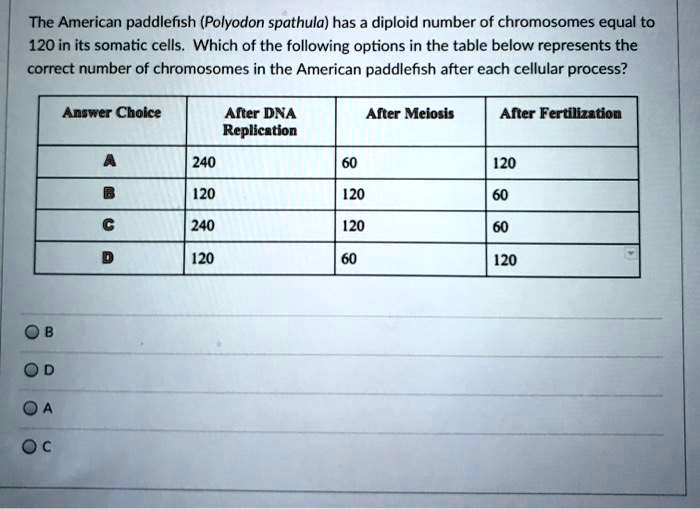 The American paddlefish (Polyodon spathula) has a diploid number of ...