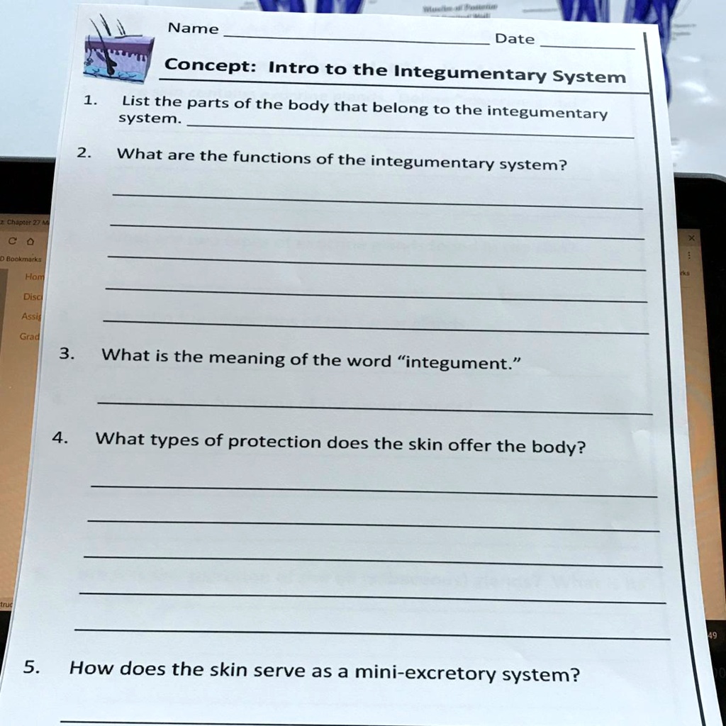 SOLVED: Need help please, fast! Name: Date: Concept: Introduction to ...