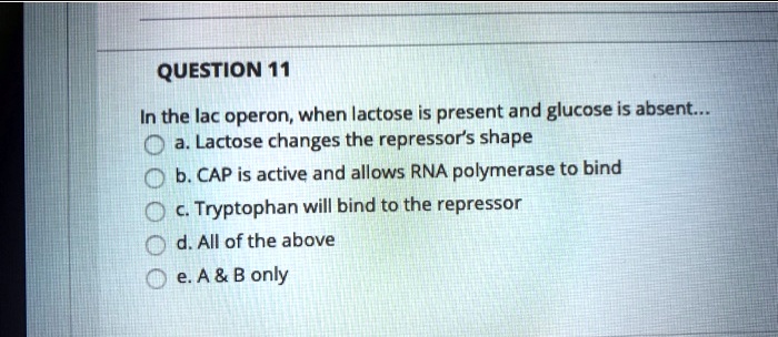 question 11 in the lac operon when lactose is present and glucose is ...