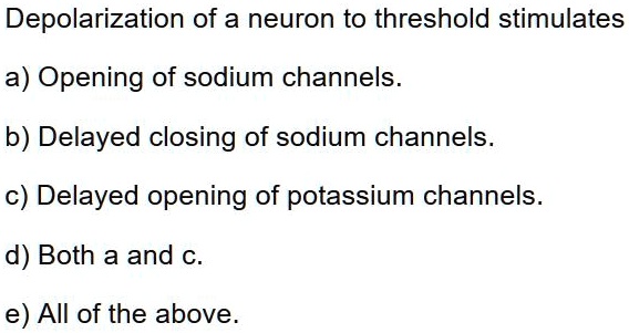 SOLVED: Depolarization of a neuron to threshold stimulates a) Opening ...