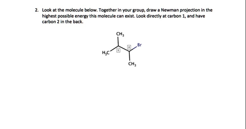 Solved Look At The Molecule Below Together In Your Group Draw Newman