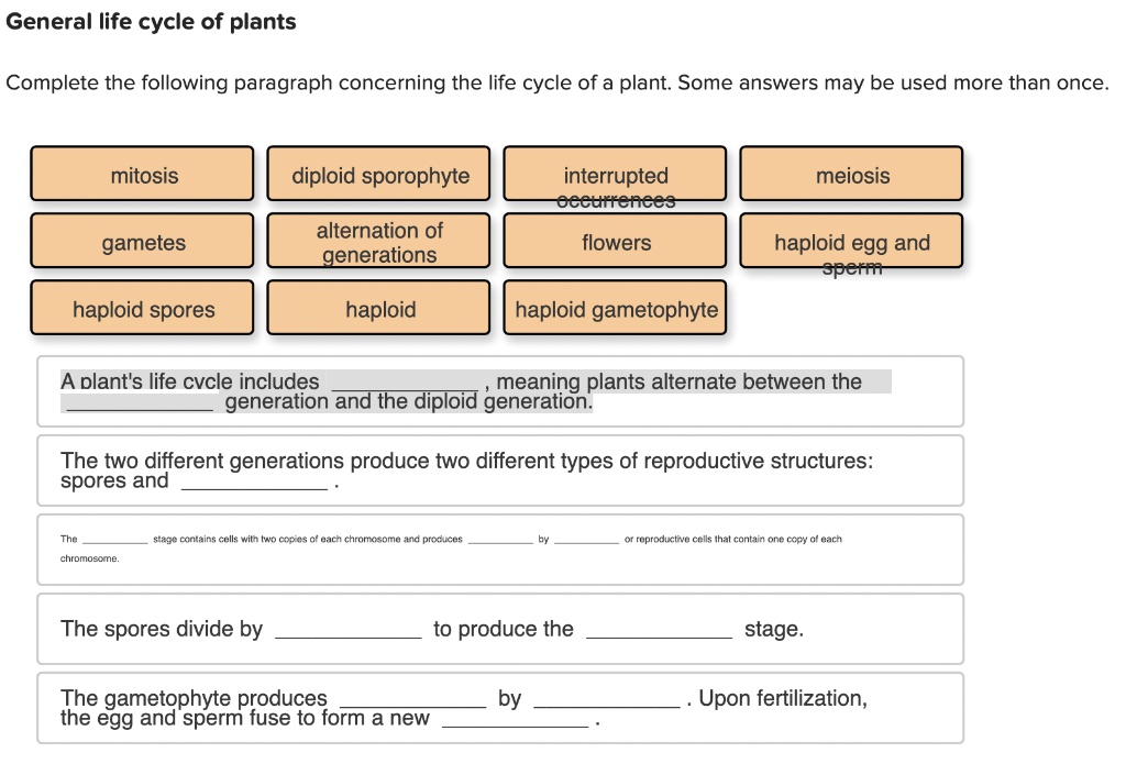 SOLVED: A plant's life cycle includes alternating between the haploid generation and the diploid ...