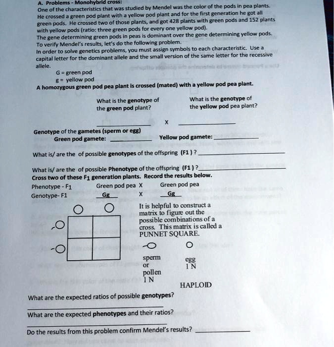 problems monohybrid cross one ofthc characteristics that was studied by ...