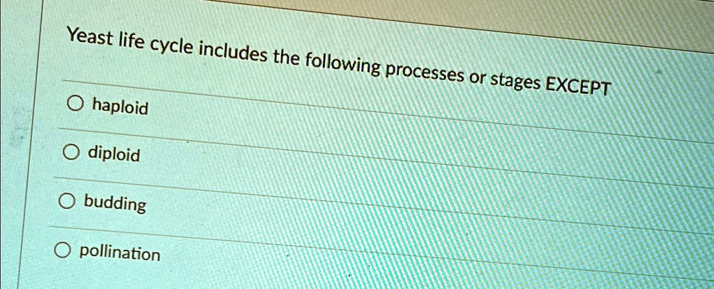 SOLVED: Yeast life cycle includes the following processes or stages ...