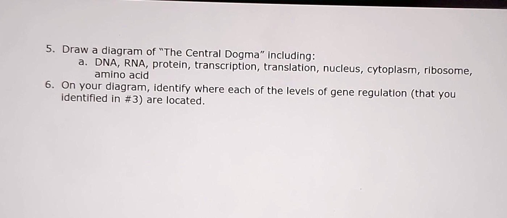 5. Draw a diagram of "The Central Dogma" including: a. DNA, RNA ...