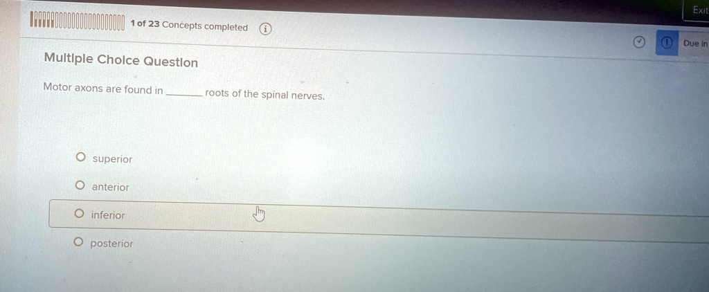 1 of 23 concepts completed multiple choice question motor axons are found in roots of the spinal ...