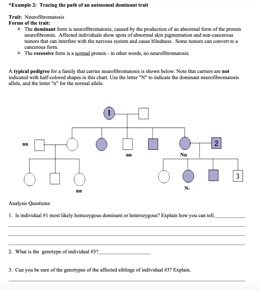 *Example 2: Tracing the path of an autosomal dominant trait Trait: Neurofibromatosis Forms of ...