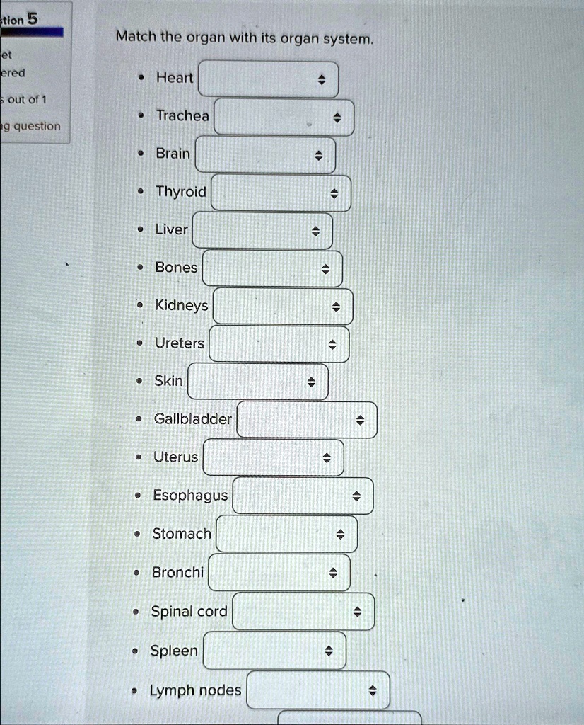SOLVED: tion 5 Match the organ with its organ system et ered Heart out ...