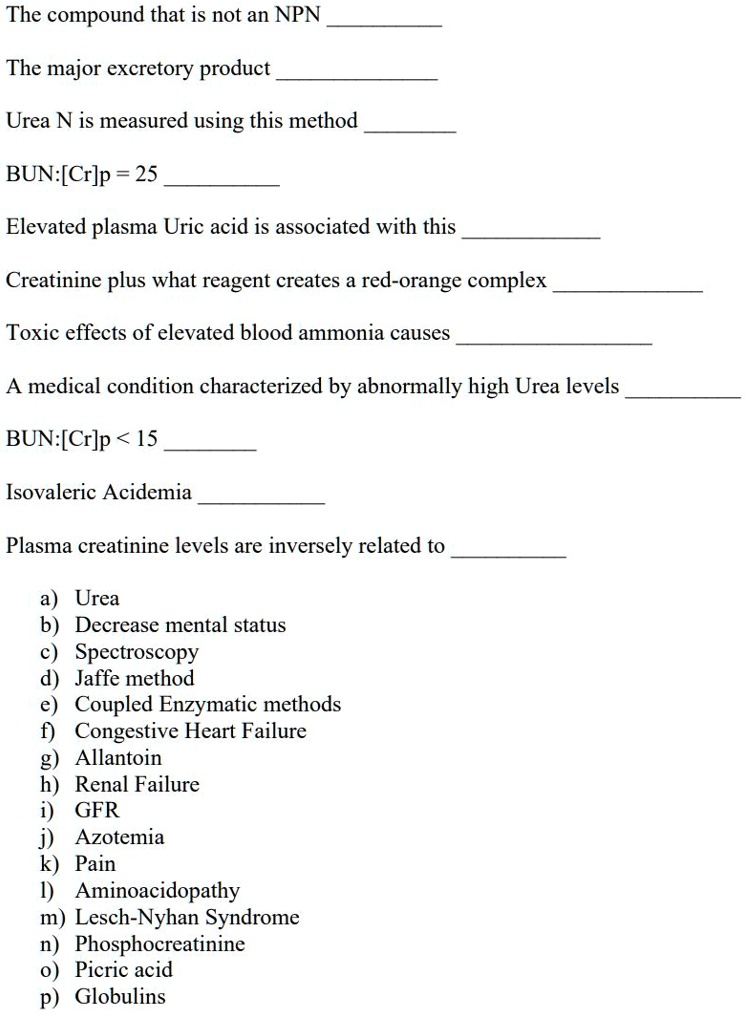 The compound that is not an NPN The major excretory product Urea N is ...