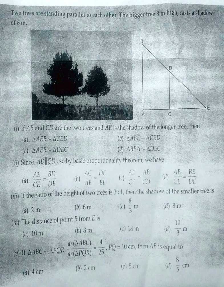 solve this maths case study two trees are standing parallel to each ...