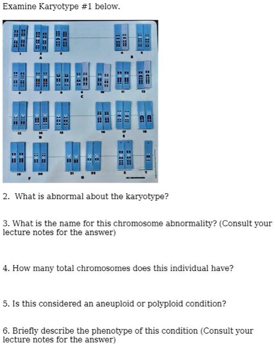 SOLVED:Examine Karyotype #[ below : What is abnormal about the ...
