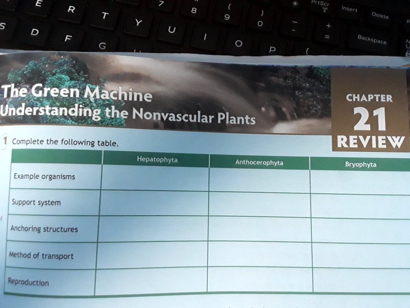 The Green Machine: Understanding the Nonvascular Plants Complete the ...