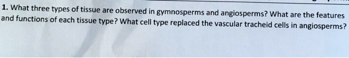 SOLVED: 1. What three types of tissue are observed in gymnosperms and ...