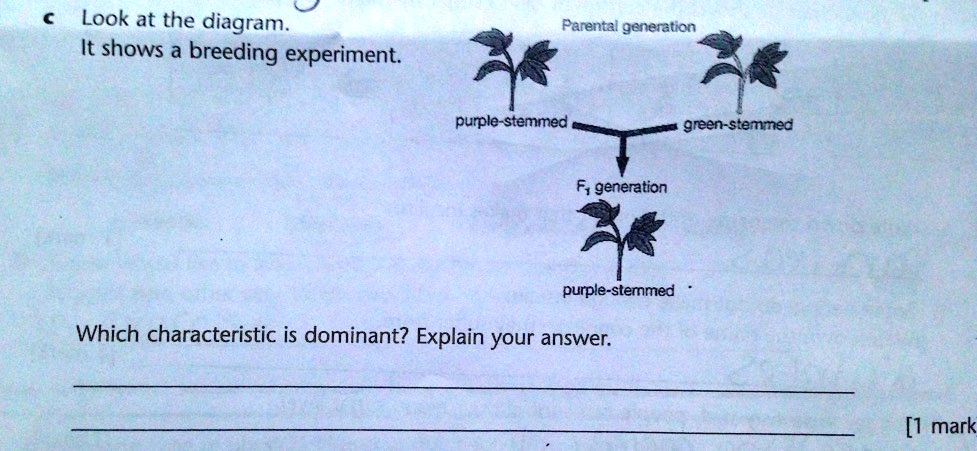 SOLVED: Please help look at the diagram. It shows a breeding experiment ...